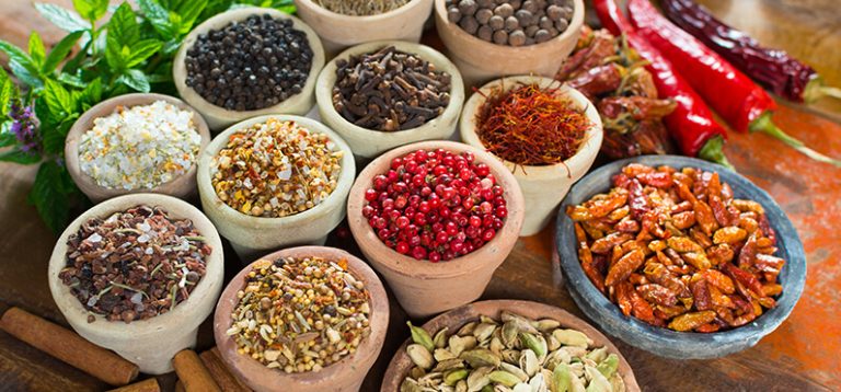 Khamira Gaozaban Sada Price Uses And Benefits | PCD Franchise